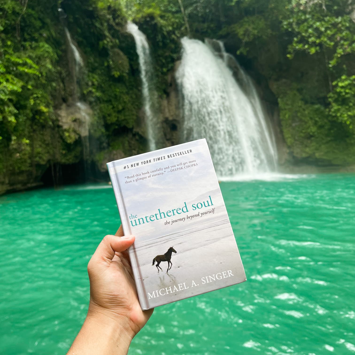 The Untethered Soul: Book Review – Gregory Books