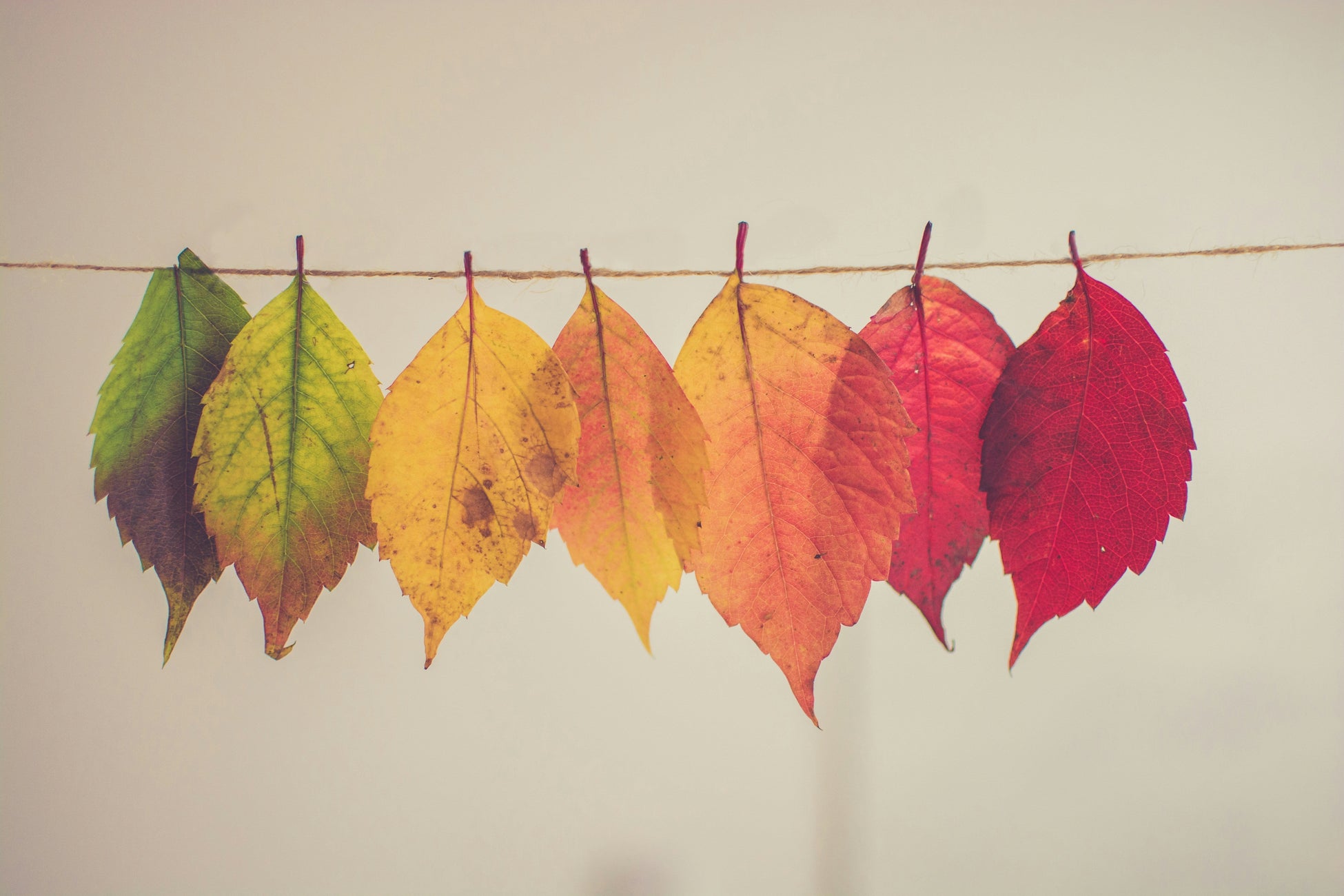 12 Inspiring Change Quotes to Embrace Life's Transformations – Gregory ...